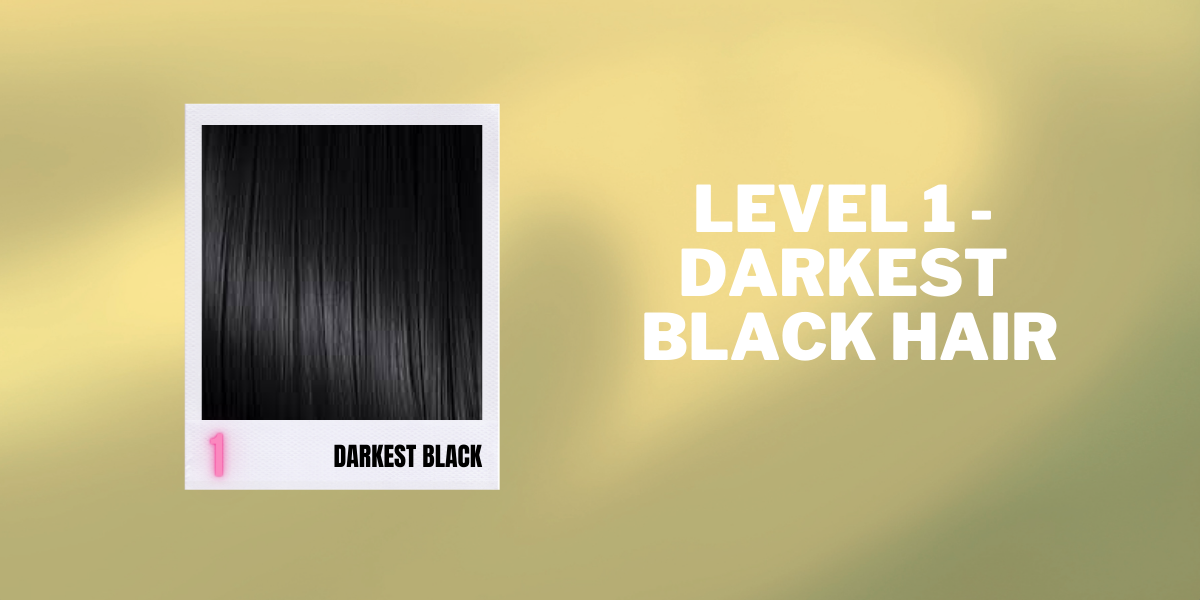 Natural Hair Color Chart Levels